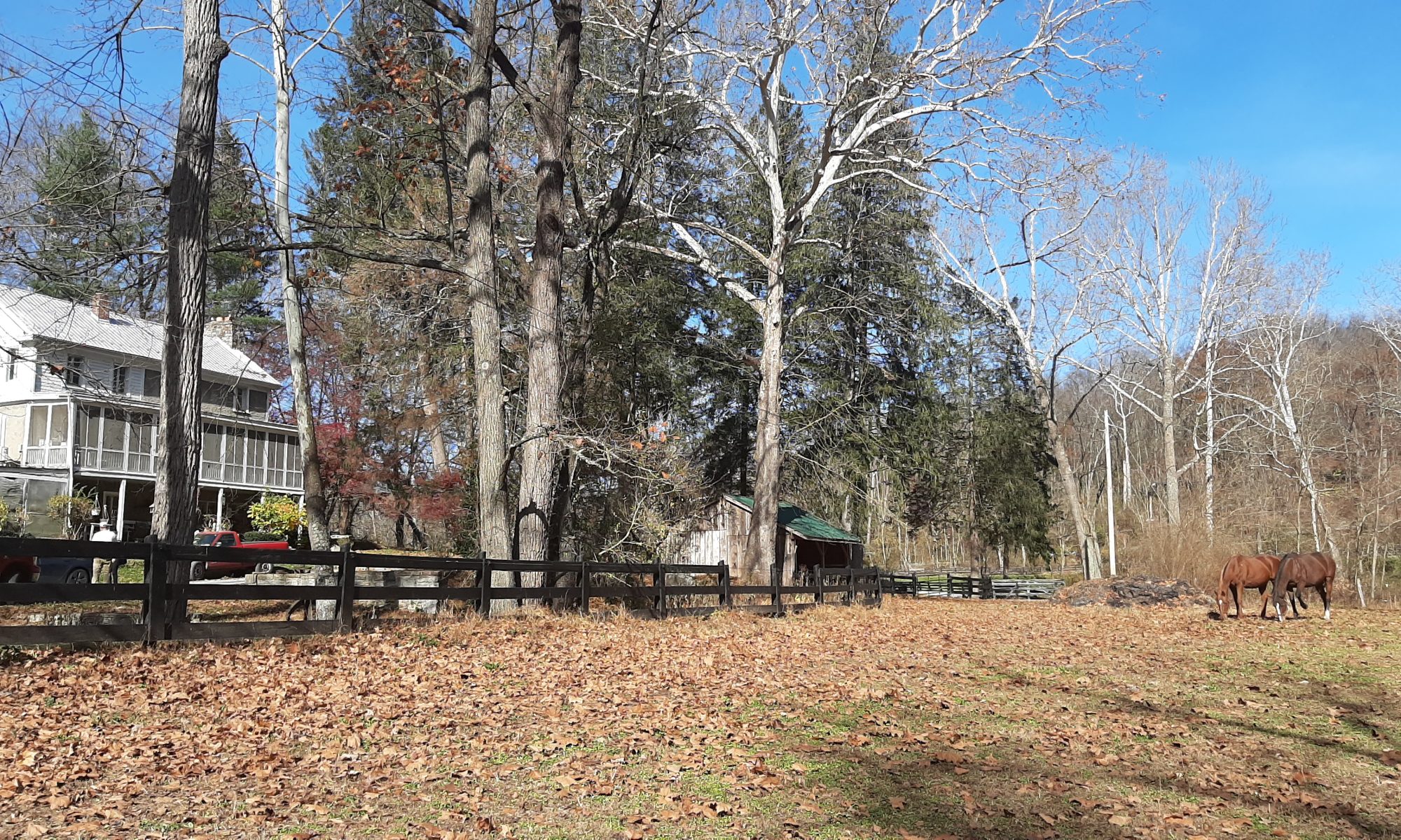 The woven history of Hook’s Mill Farm - Hancock News