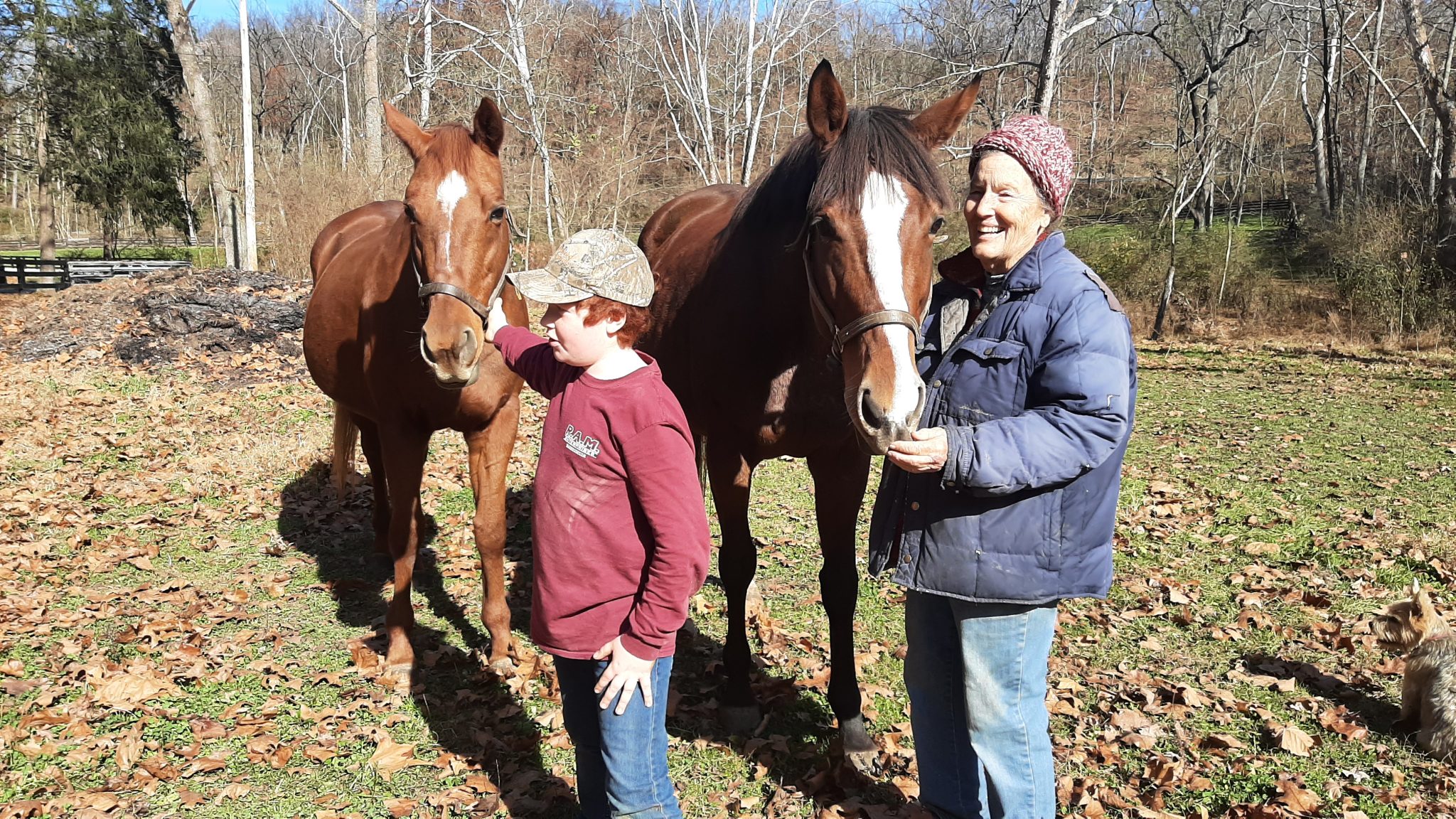 The woven history of Hook’s Mill Farm - Hancock News