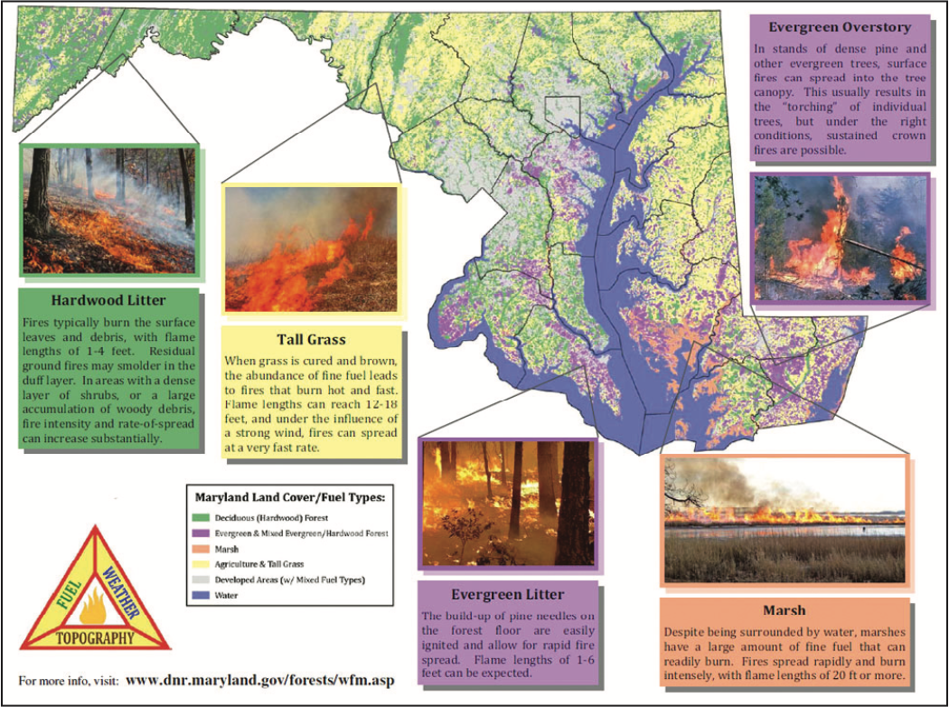 Spring brings greater risk of wildfire in Maryland - Hancock News