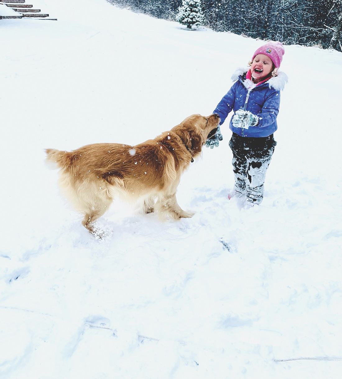 First snowfall of the year blankets area - Hancock News